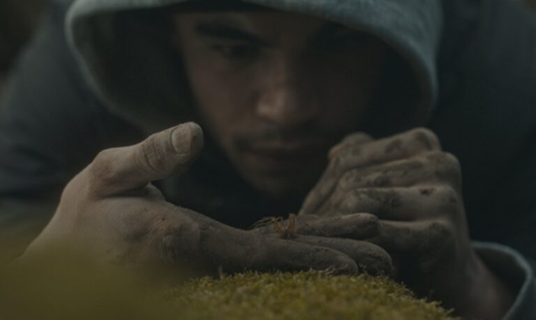 Vermin (Infested): la recensione del film horror coi ragni di Sébastien ...